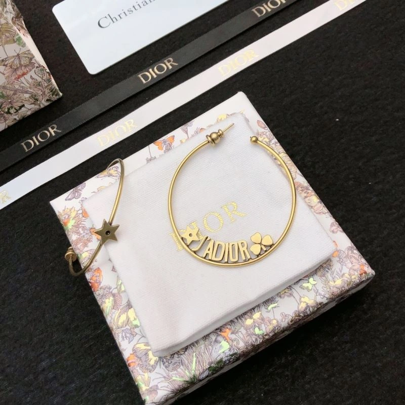 1:1 copy Christian Dior Earrings