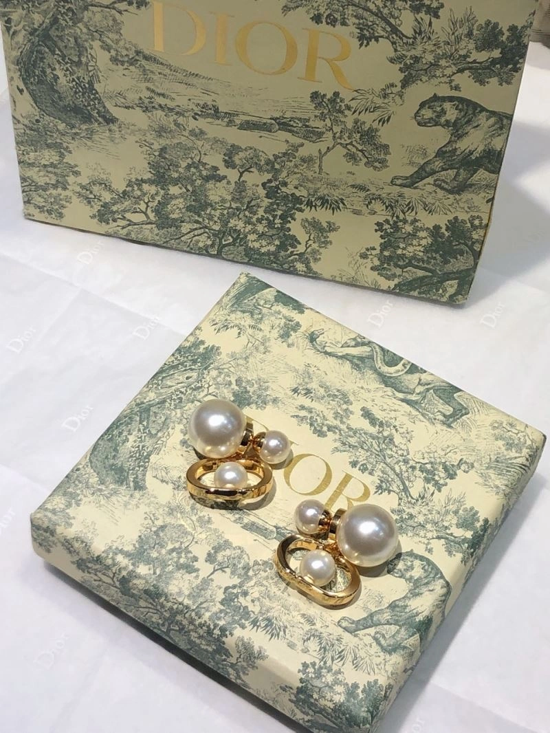 Economical Christian Dior Earrings