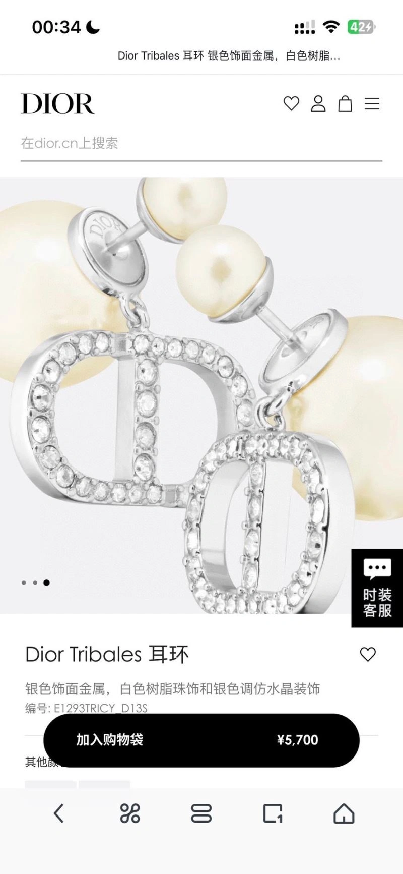 Precise copy Christian Dior Earrings