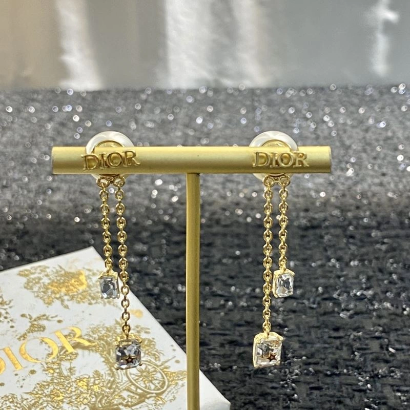 High accuracy Christian Dior Earrings