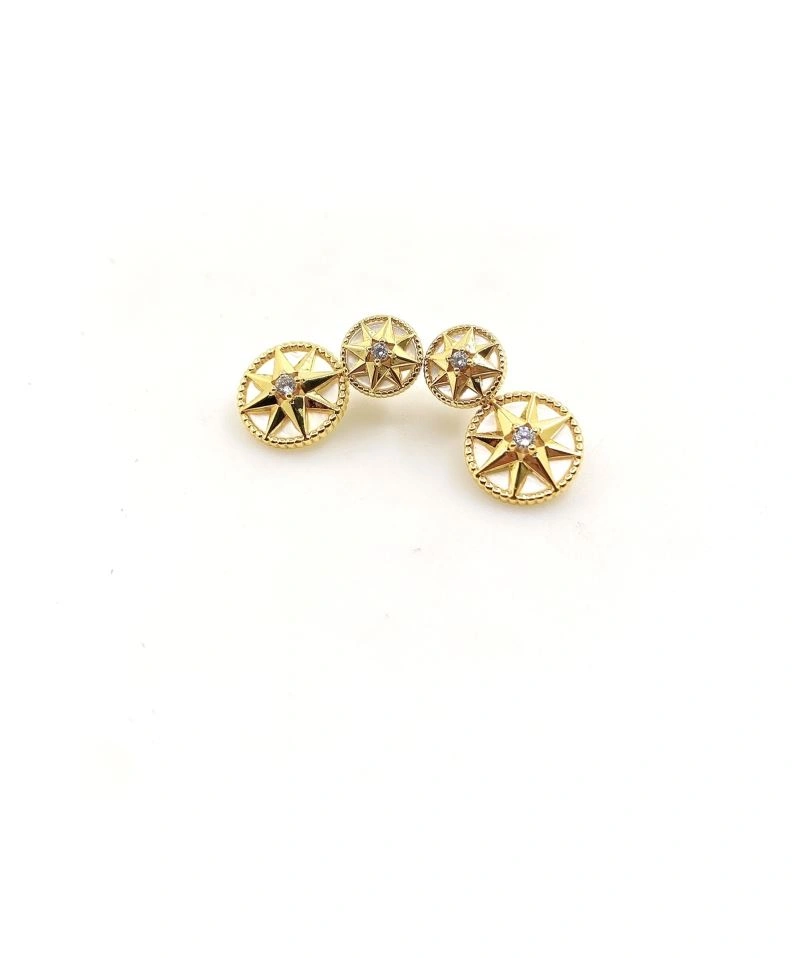 Christian Dior Earrings