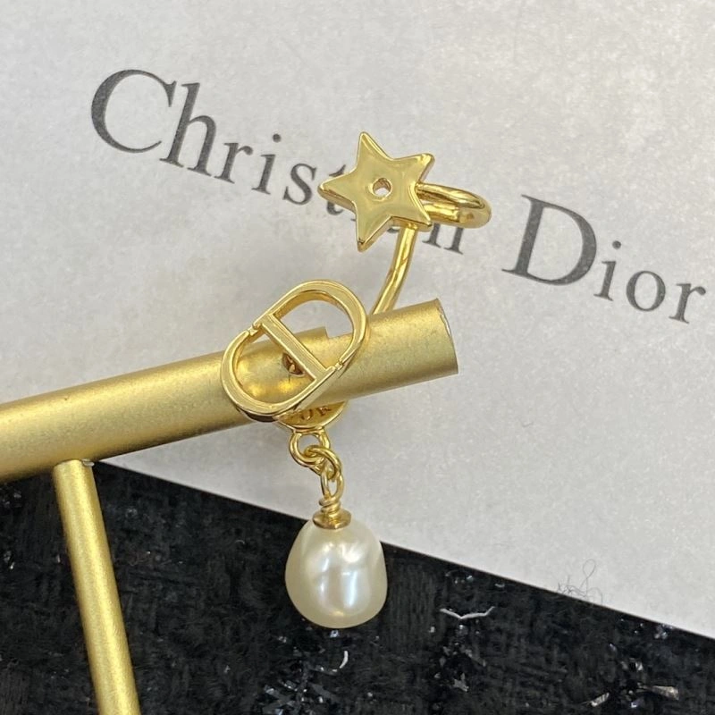 Accurate model Christian Dior Earrings