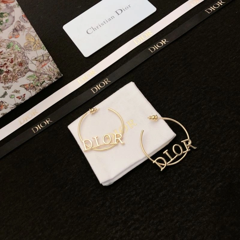 Precise copy Christian Dior Earrings