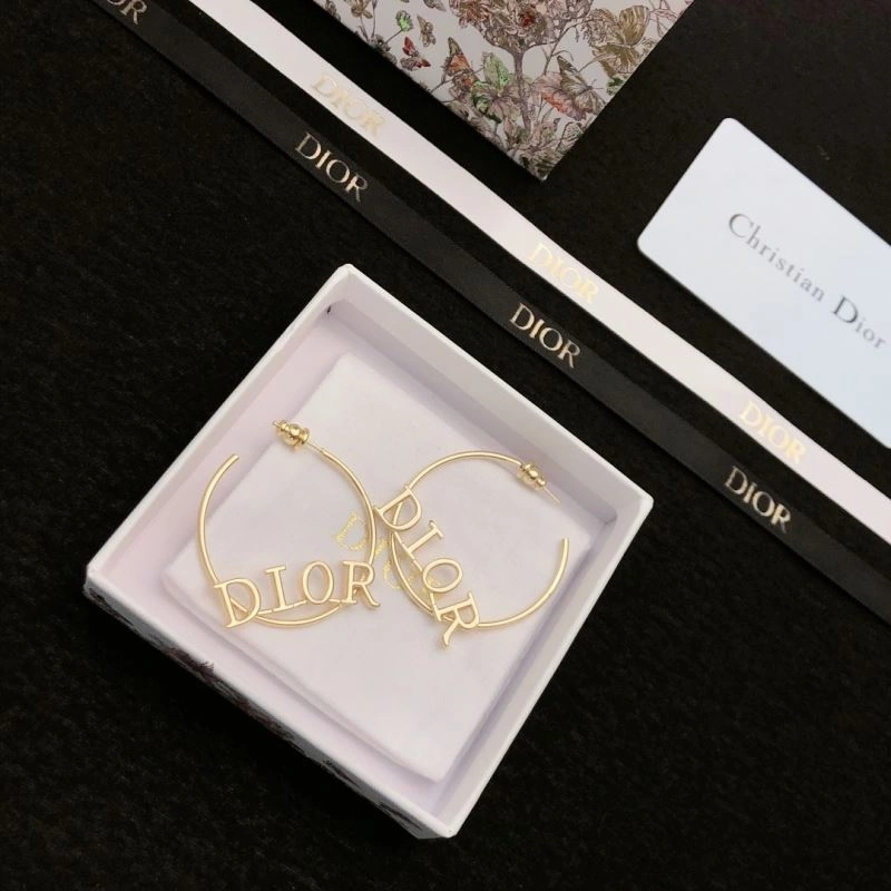 Precise copy Christian Dior Earrings