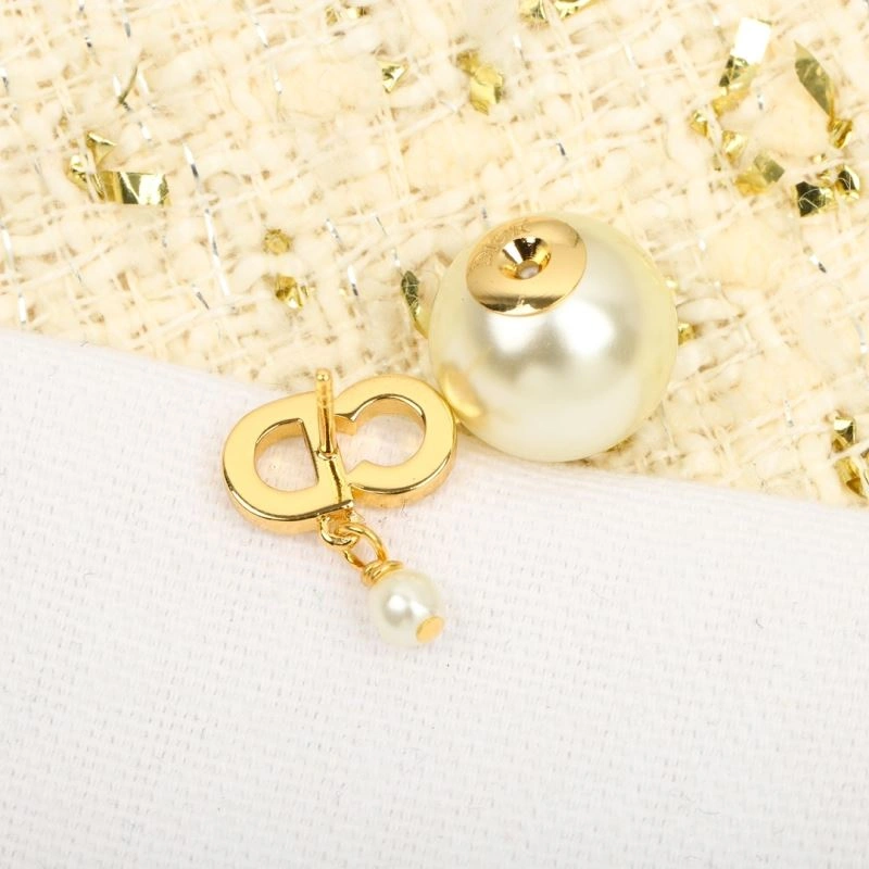 Brand-original Christian Dior Earrings