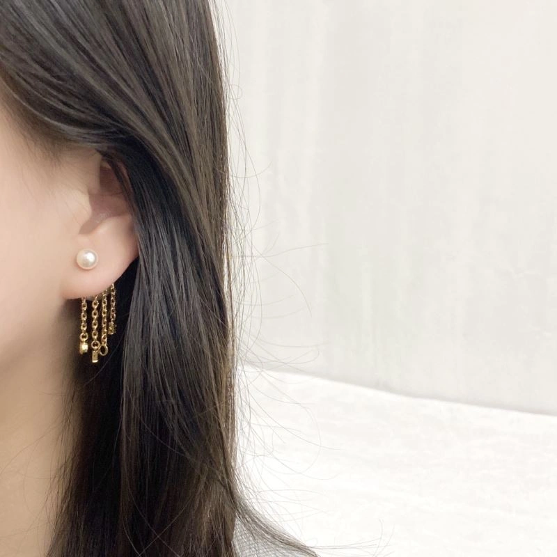 High fidelity Christian Dior Earrings