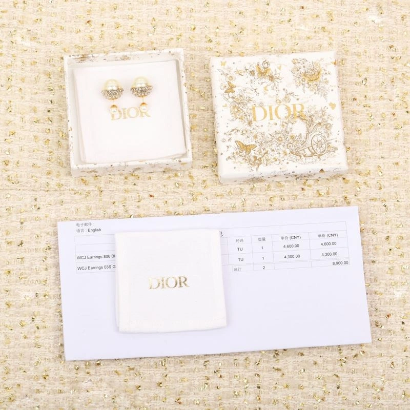 Christian Dior Earrings