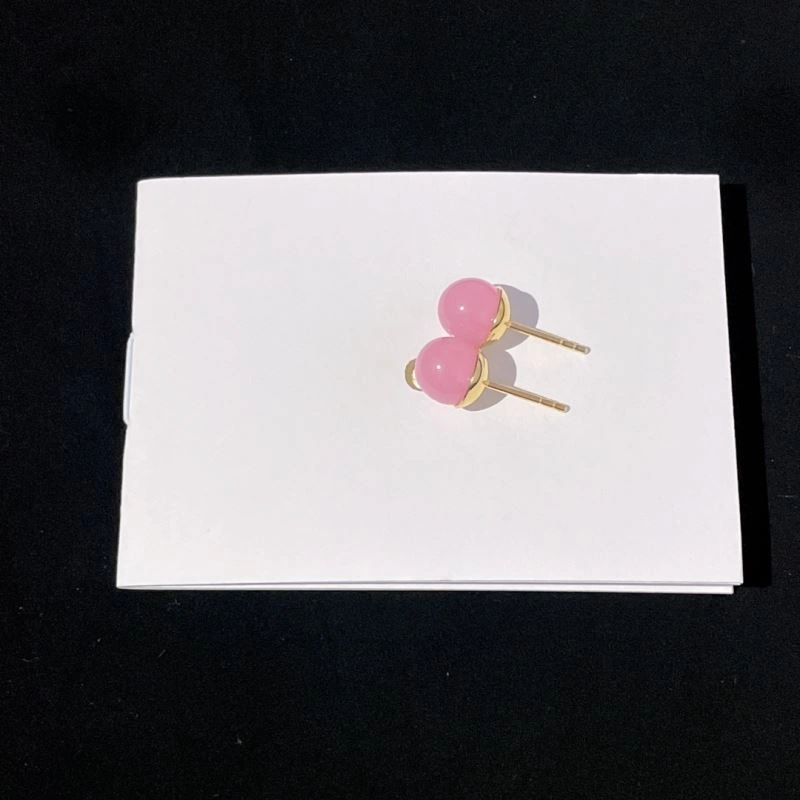 Economical Christian Dior Earrings