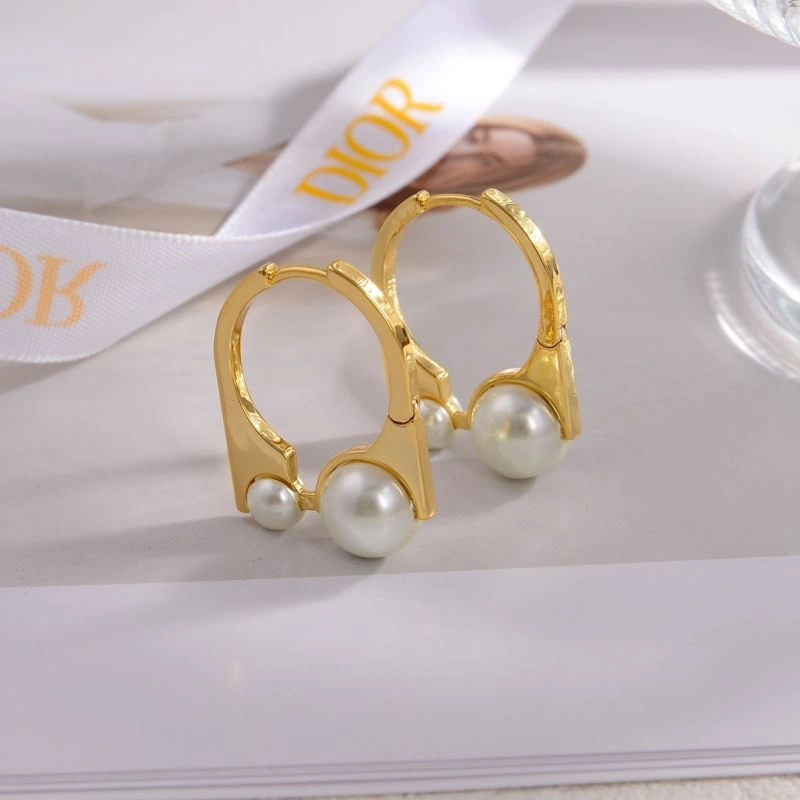 High accuracy Christian Dior Earrings