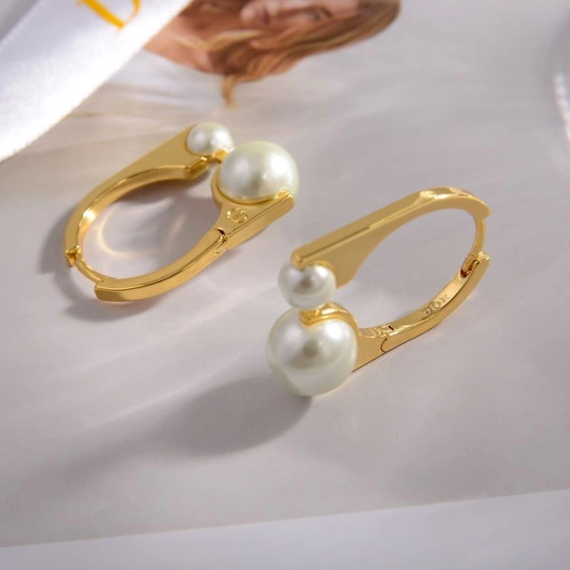 High accuracy Christian Dior Earrings