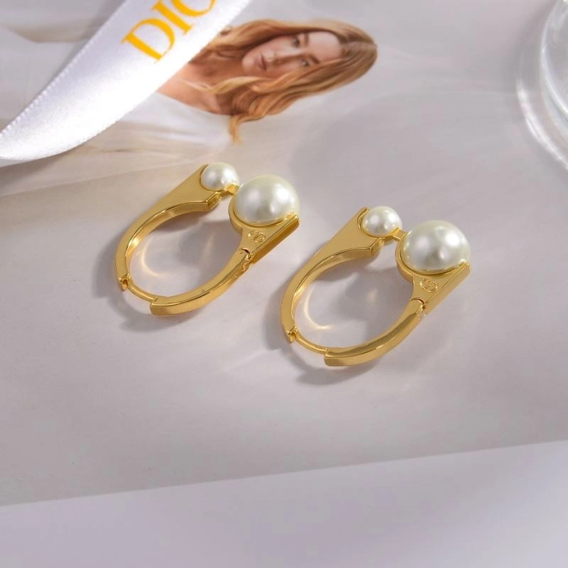 High accuracy Christian Dior Earrings