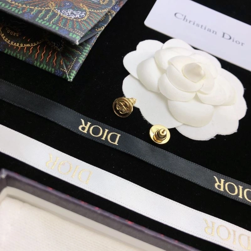 Brand-original Christian Dior Earrings