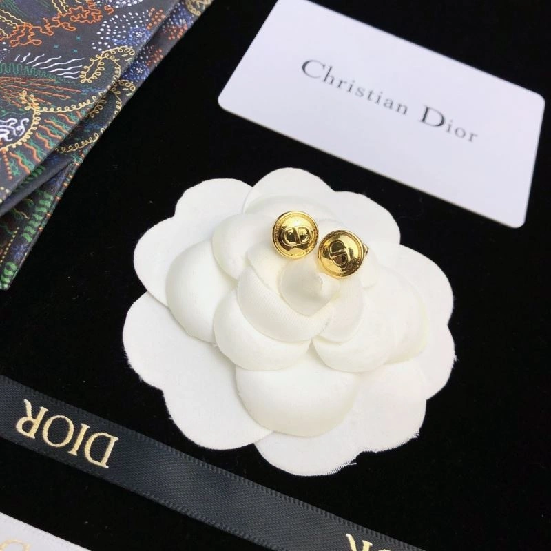 Brand-original Christian Dior Earrings
