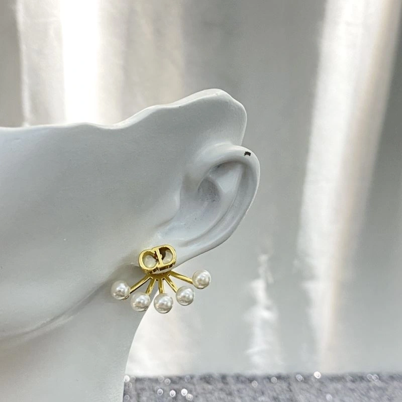 High accuracy Christian Dior Earrings