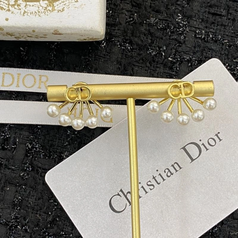 High accuracy Christian Dior Earrings