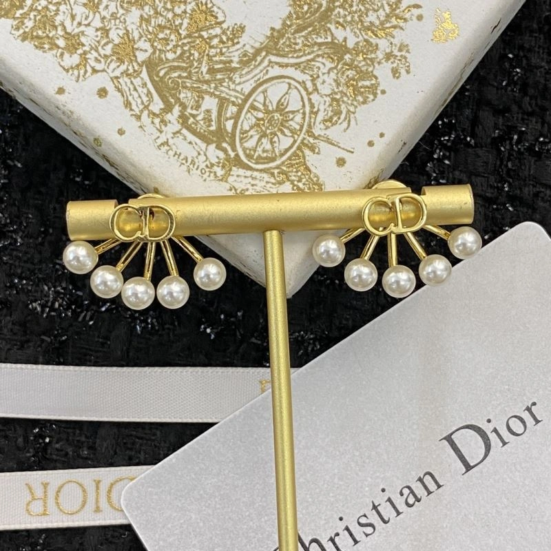 High accuracy Christian Dior Earrings