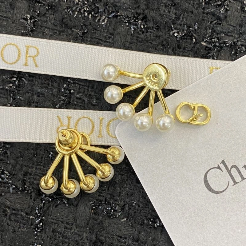 High accuracy Christian Dior Earrings