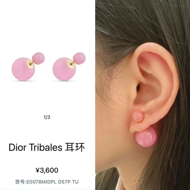 Brand-authenticated Christian Dior Earrings
