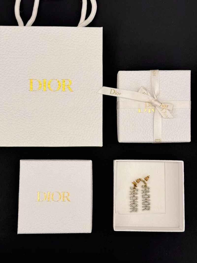 Brand-original Christian Dior Earrings