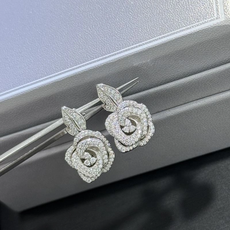 Legit Christian Dior Earrings
