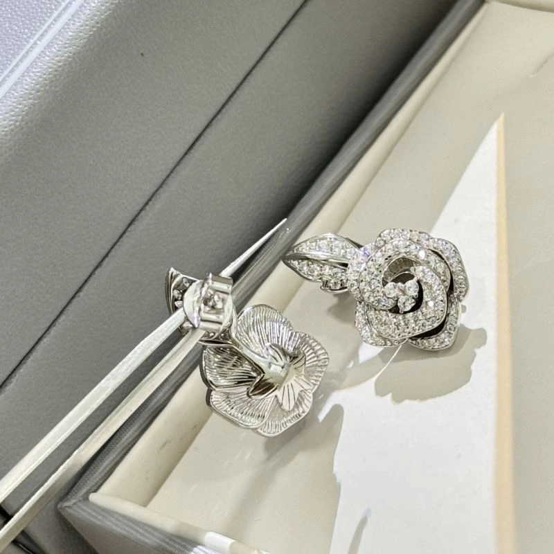 Legit Christian Dior Earrings