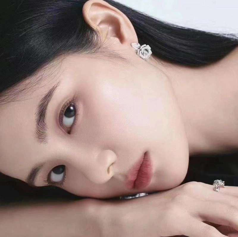 Legit Christian Dior Earrings