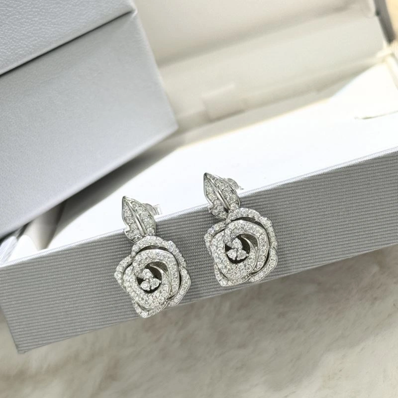 Legit Christian Dior Earrings