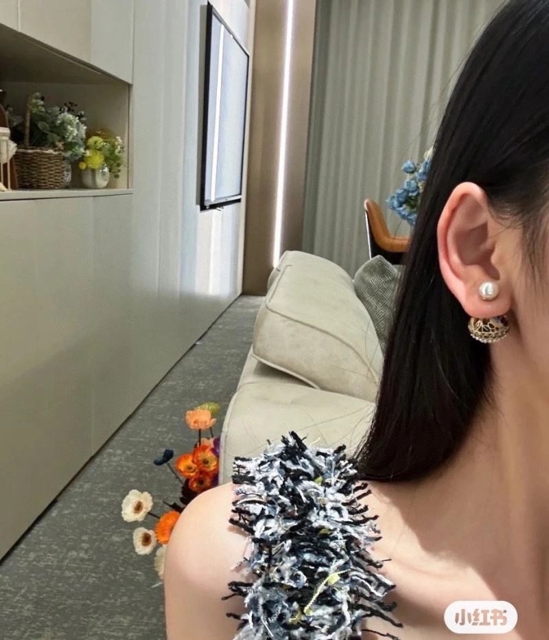 Economical Christian Dior Earrings