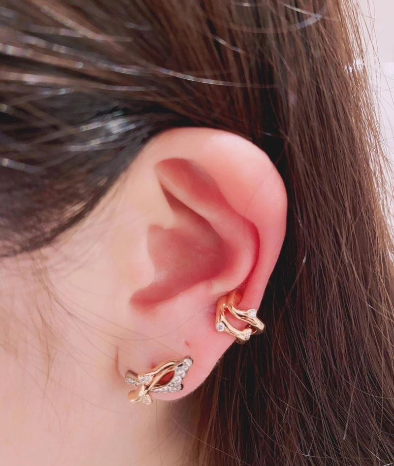 Perfect replica Christian Dior Earrings