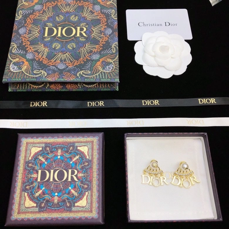 Brand-original Christian Dior Earrings