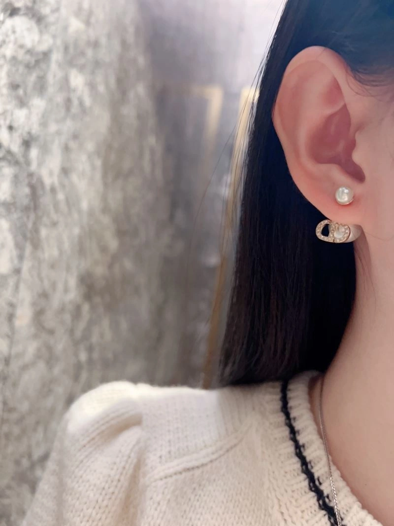 Precise copy Christian Dior Earrings