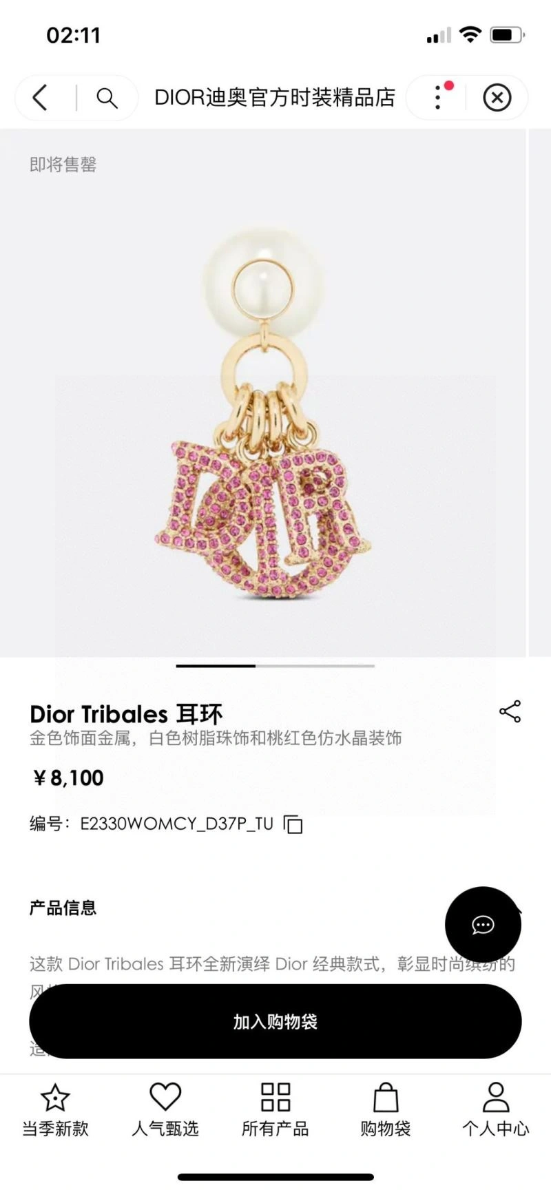 Mirror quality Christian Dior Earrings