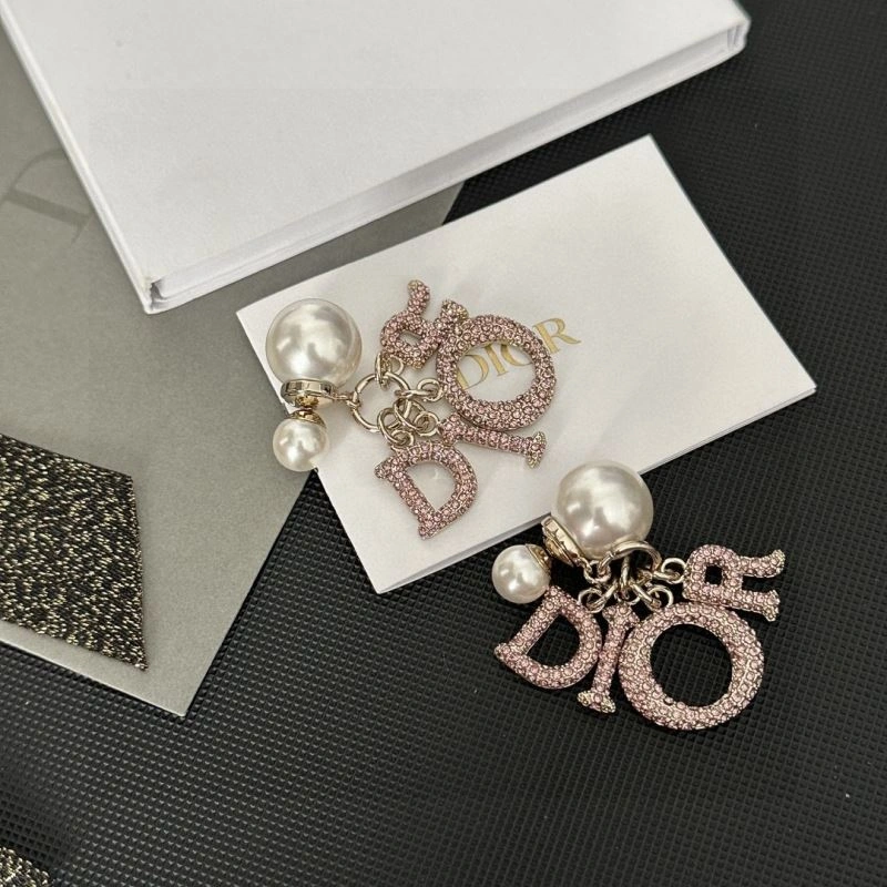 Mirror quality Christian Dior Earrings