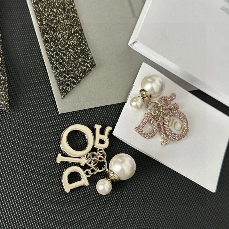 Mirror quality Christian Dior Earrings