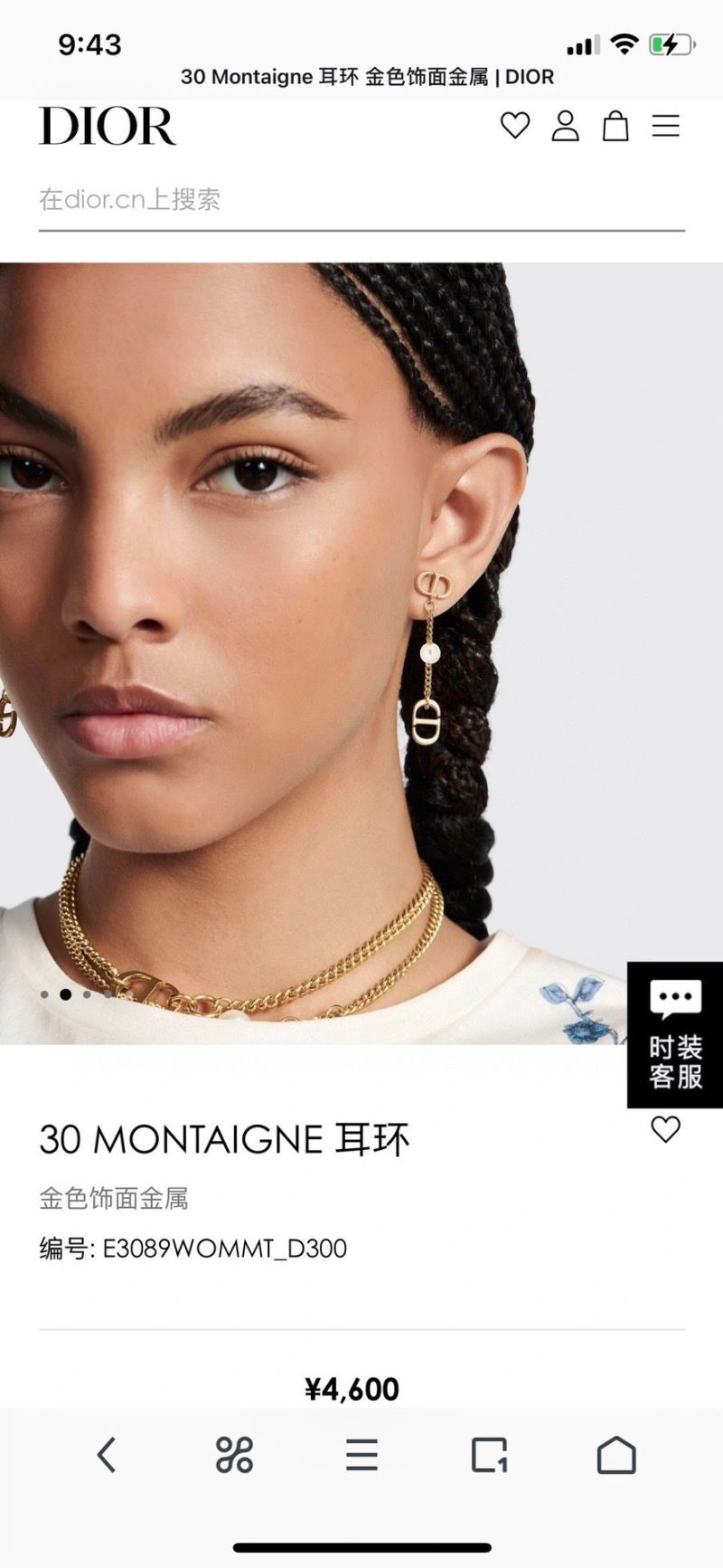 Accurate model Christian Dior Earrings