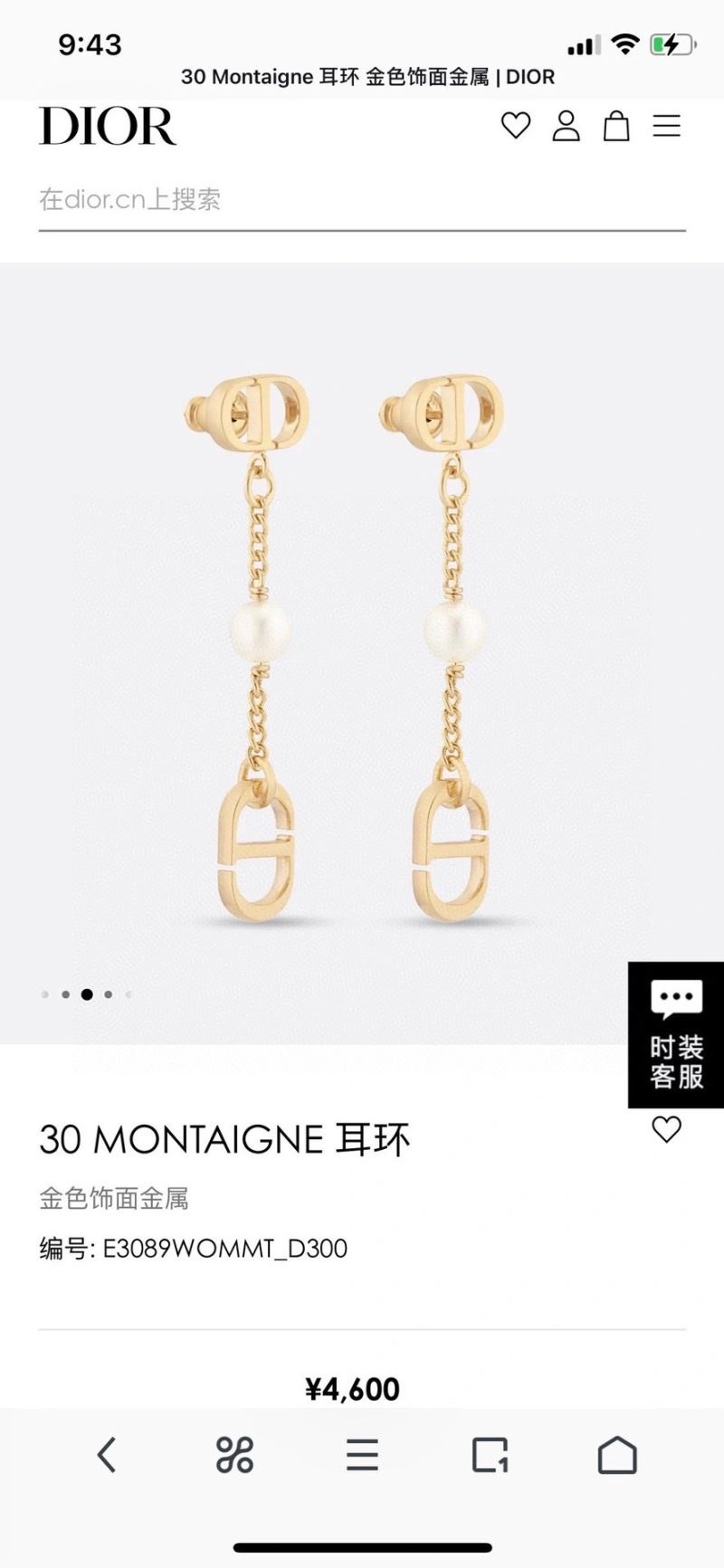 Accurate model Christian Dior Earrings