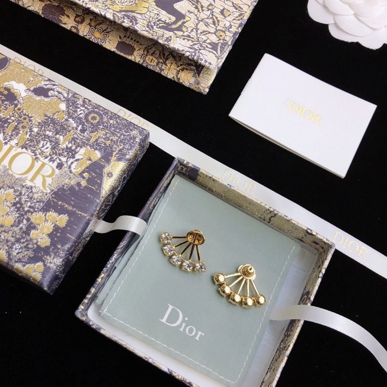 Precise copy Christian Dior Earrings