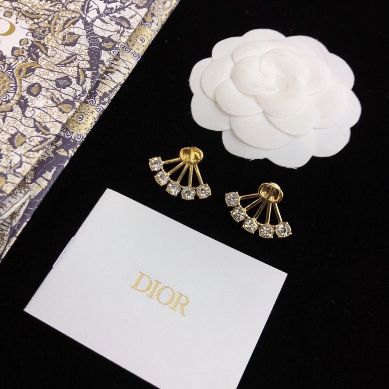 Precise copy Christian Dior Earrings