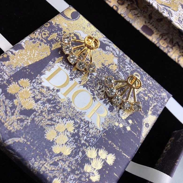 Precise copy Christian Dior Earrings