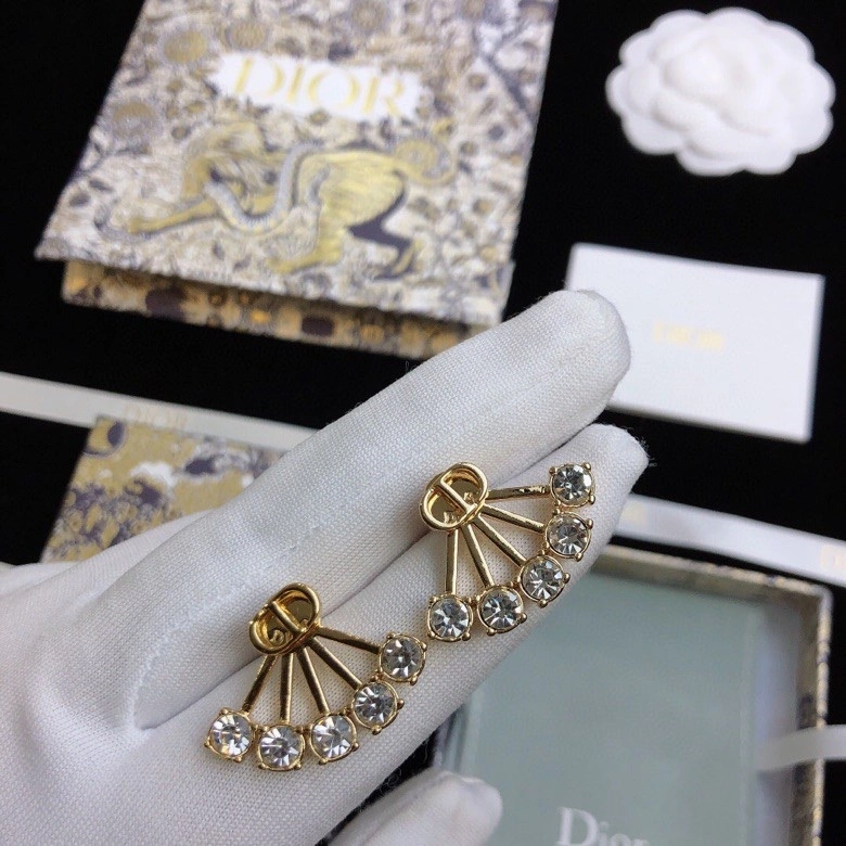 Precise copy Christian Dior Earrings