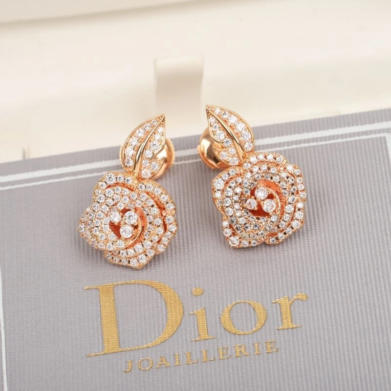 Mirror quality Christian Dior Earrings