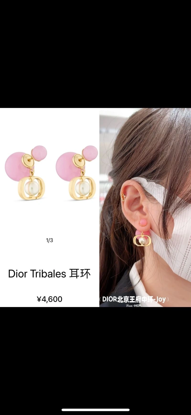 Official Christian Dior Earrings