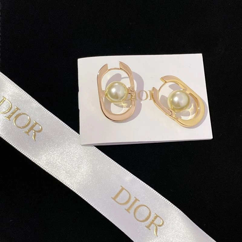 High accuracy Christian Dior Earrings