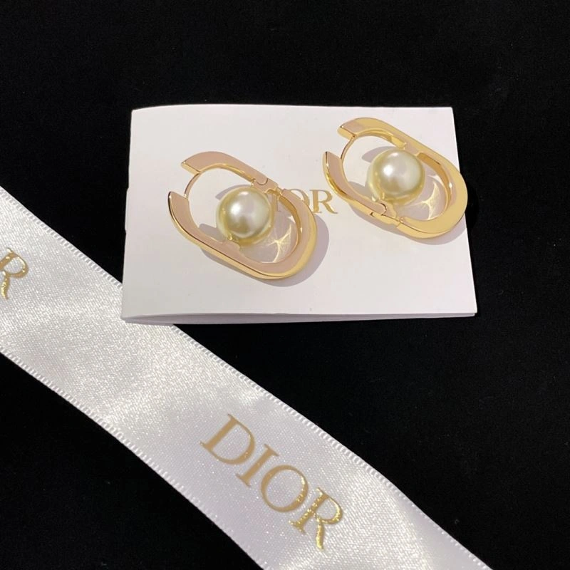 High accuracy Christian Dior Earrings