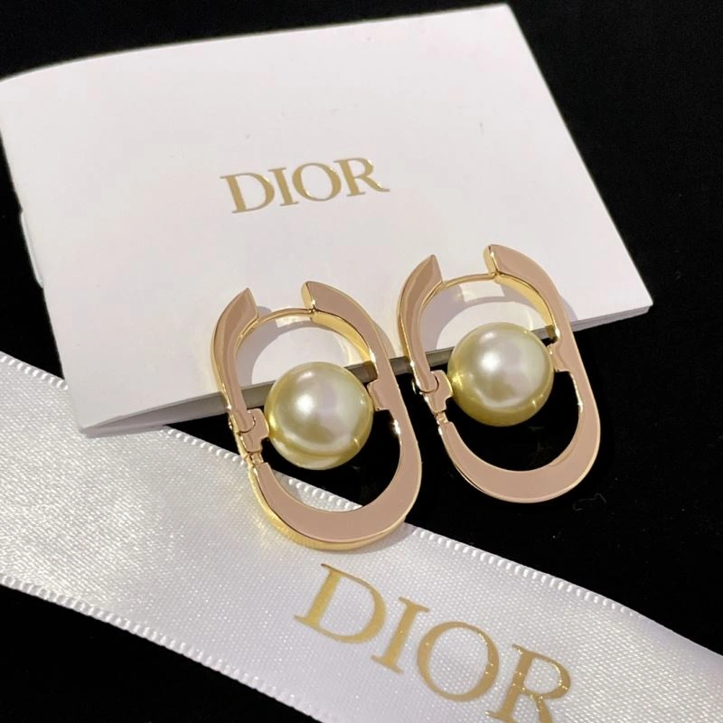 High accuracy Christian Dior Earrings