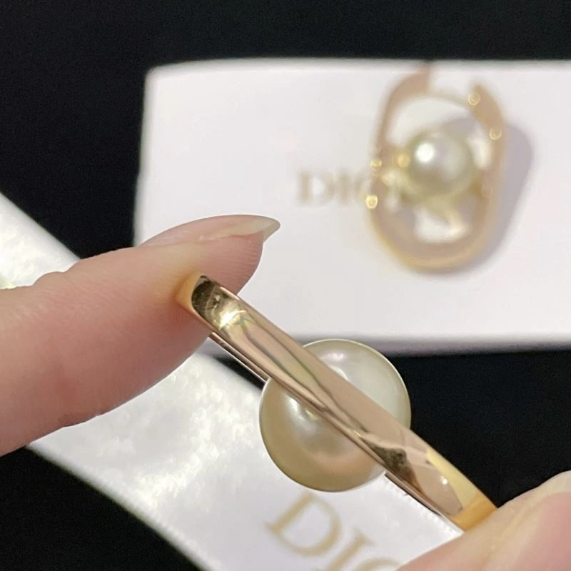 High accuracy Christian Dior Earrings
