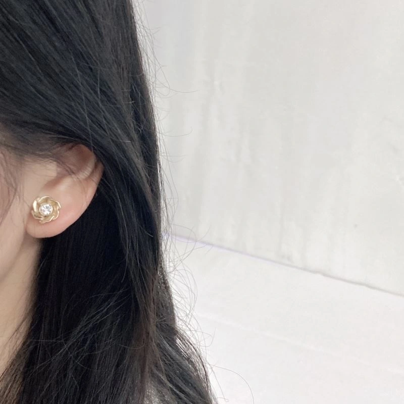 Authentic Christian Dior Earrings