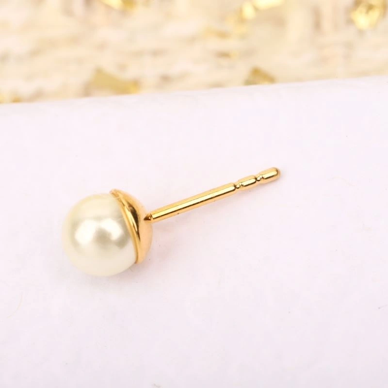 Precise copy Christian Dior Earrings