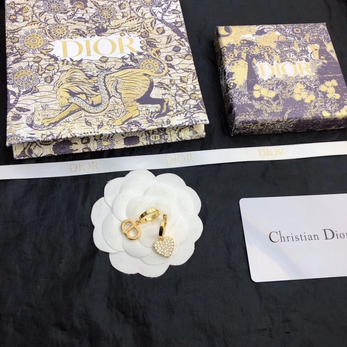 1:1 copy Christian Dior Earrings