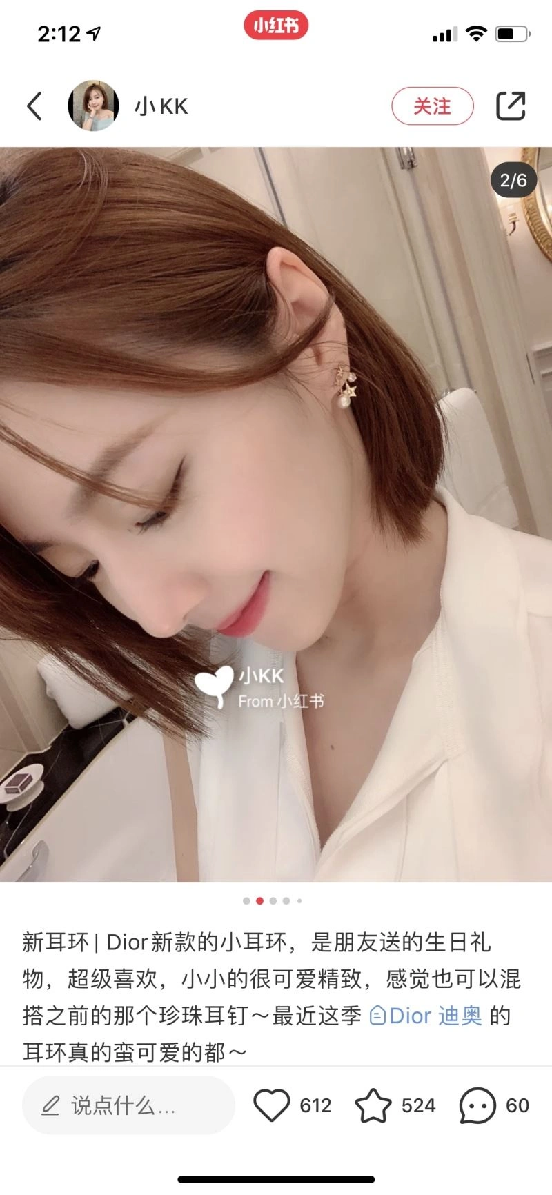Inexpensive Christian Dior Earrings